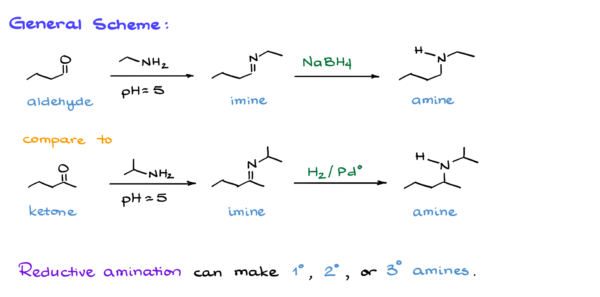 Reductive Amination — Organic Chemistry Tutor