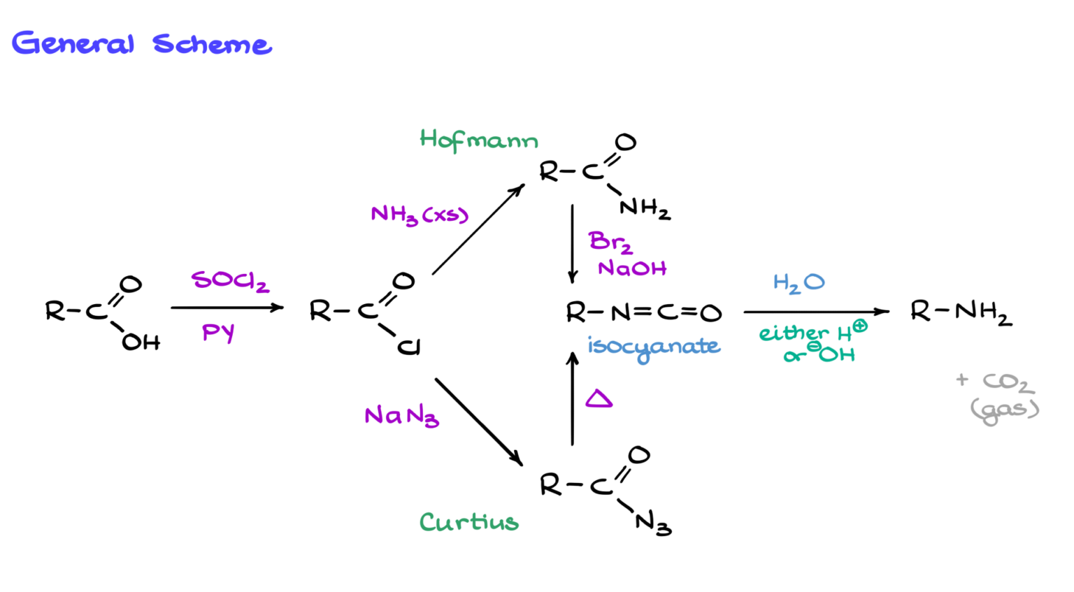 Hofmann and Curtius Rearrangements — Organic Chemistry Tutor