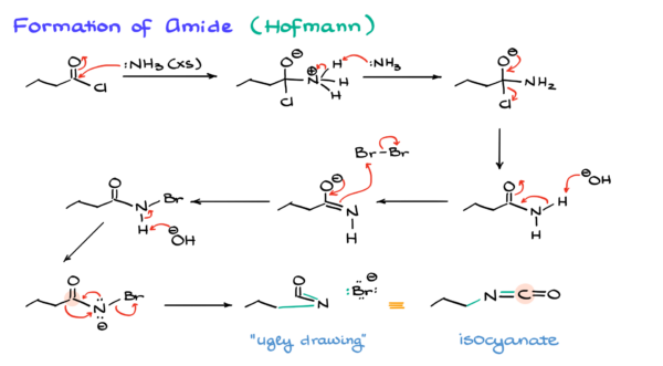 Hofmann and Curtius Rearrangements — Organic Chemistry Tutor