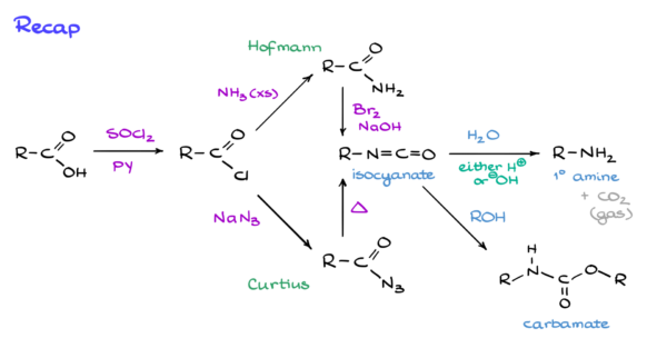 Hofmann and Curtius Rearrangements — Organic Chemistry Tutor