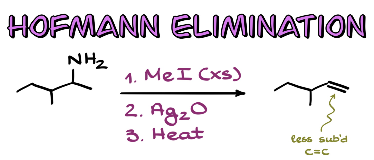 Hofmann Elimination — Organic Chemistry Tutor