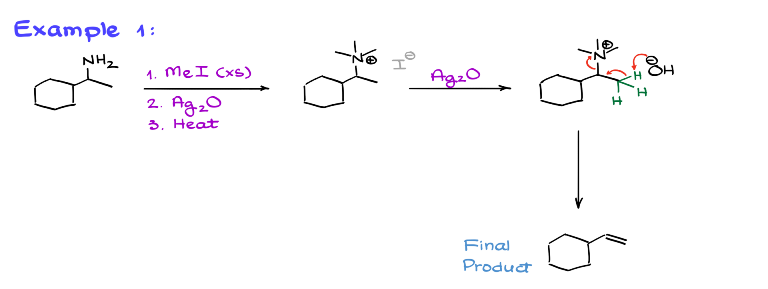 Hofmann Elimination — Organic Chemistry Tutor