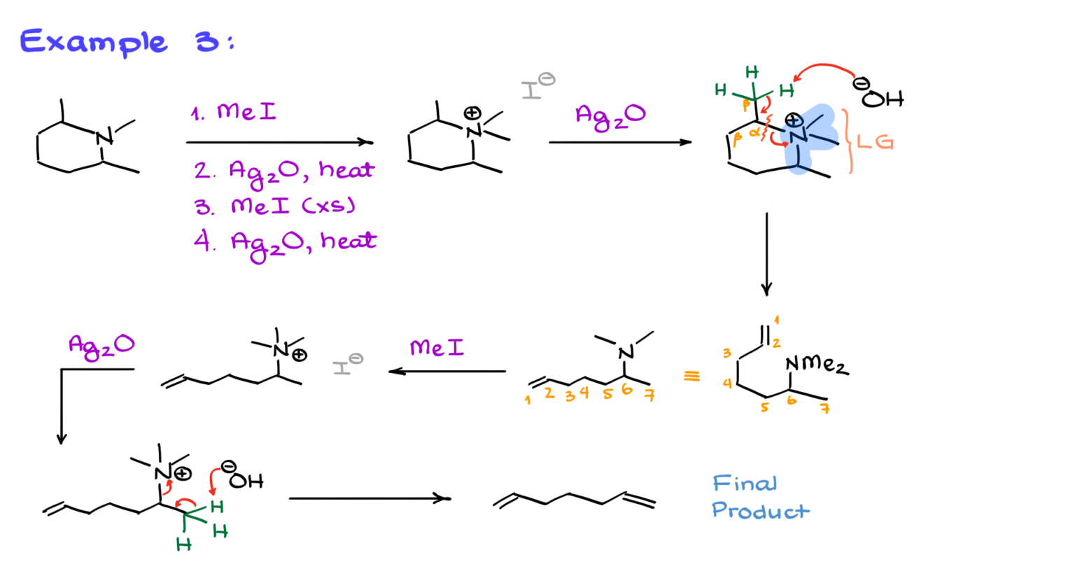 Hofmann Elimination — Organic Chemistry Tutor