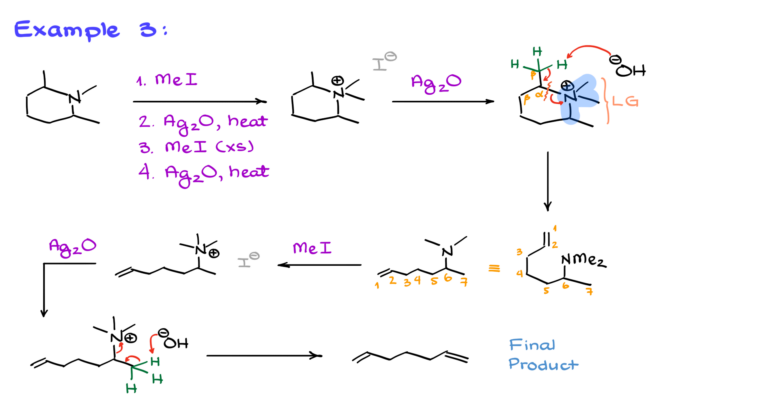 Hofmann Elimination — Organic Chemistry Tutor