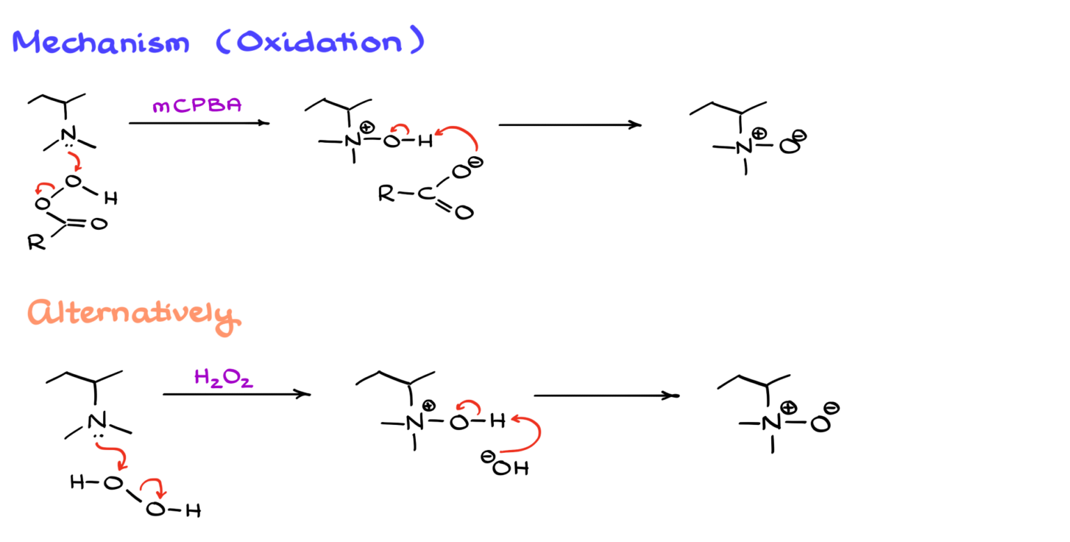 Cope Elimination — Organic Chemistry Tutor