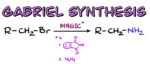 Gabriel Synthesis — Organic Chemistry Tutor