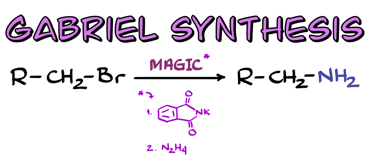 Gabriel Synthesis — Organic Chemistry Tutor