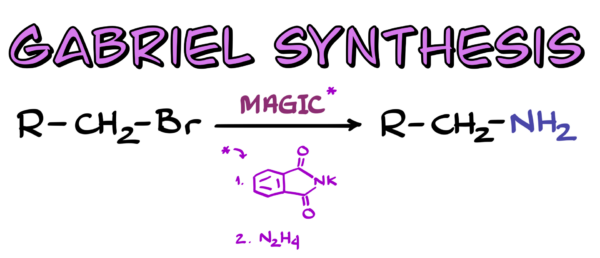 Gabriel Synthesis — Organic Chemistry Tutor