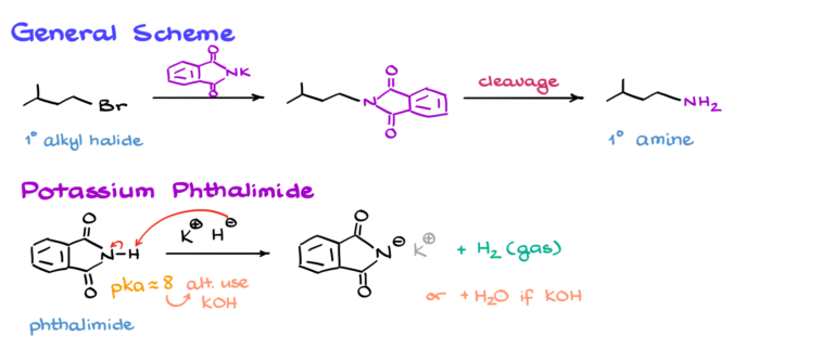 Gabriel Synthesis — Organic Chemistry Tutor