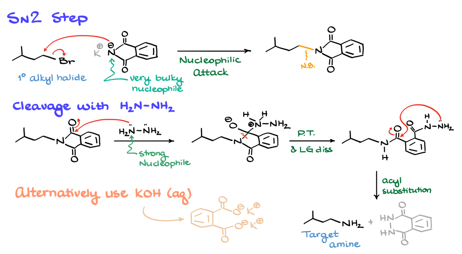 Gabriel Synthesis — Organic Chemistry Tutor