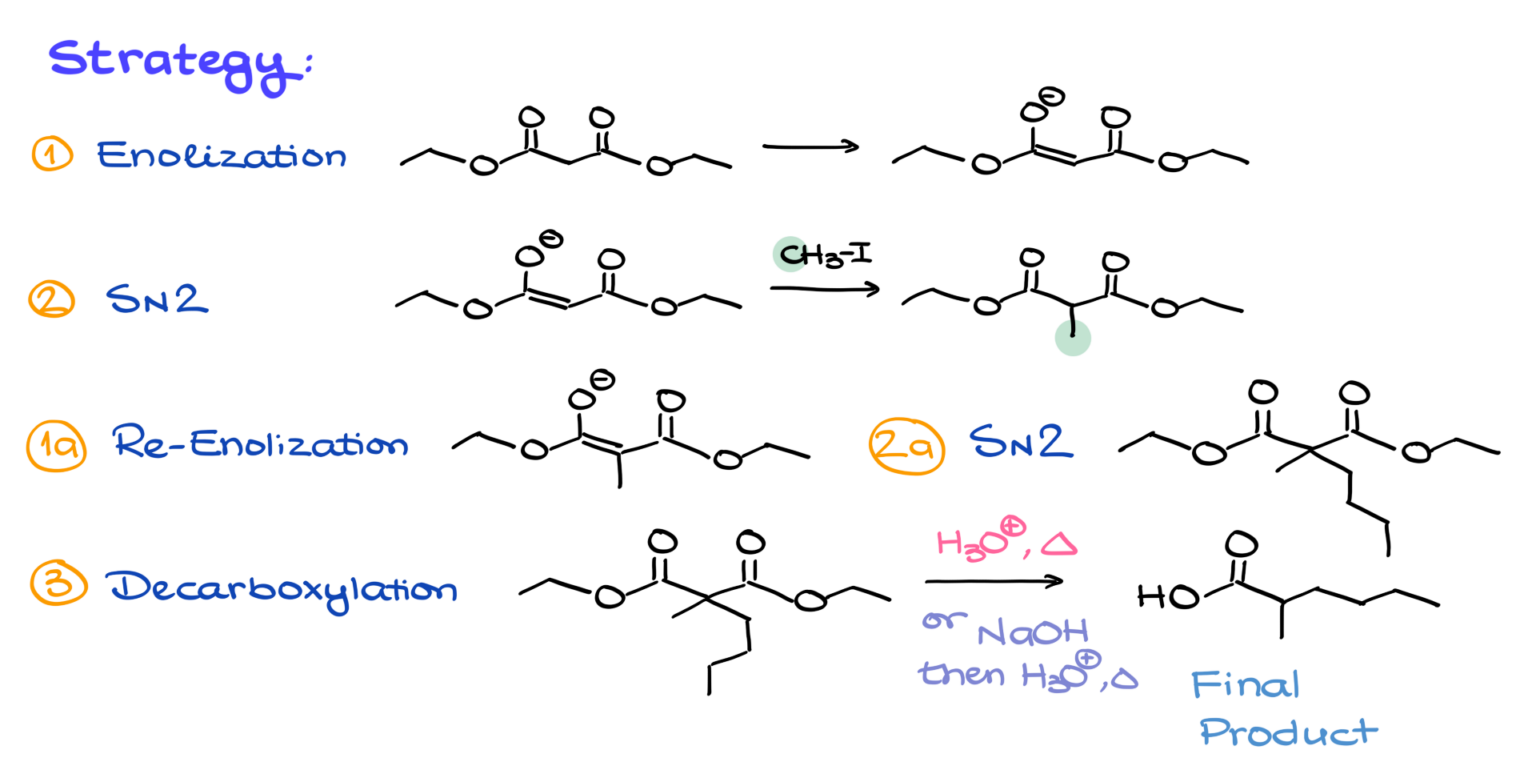 Malonic Ester Synthesis — Organic Chemistry Tutor
