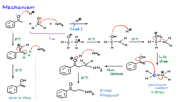 Mannich Reaction — Organic Chemistry Tutor