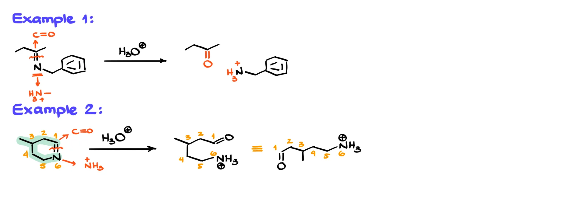 Imine and Enamine Hydrolysis — Organic Chemistry Tutor