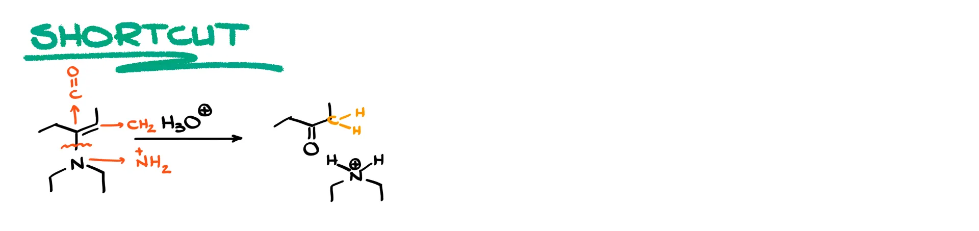 Imine and Enamine Hydrolysis — Organic Chemistry Tutor
